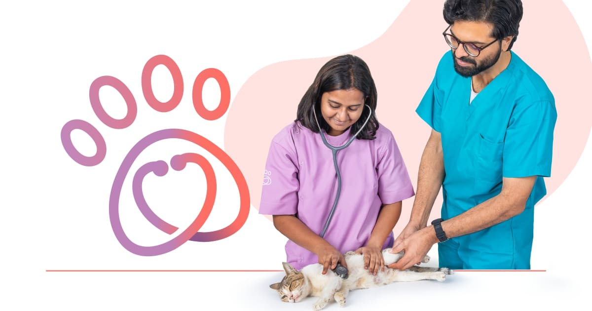 Advanced facilities,Expert care|Small Animal Hospital Mumbai